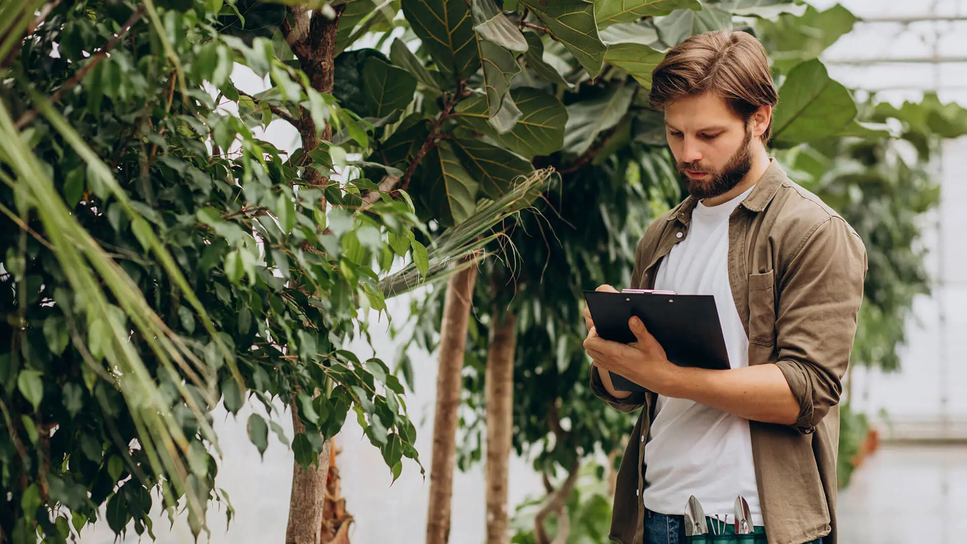 Cultivating Turnham Green: The Artistry of Local Gardeners